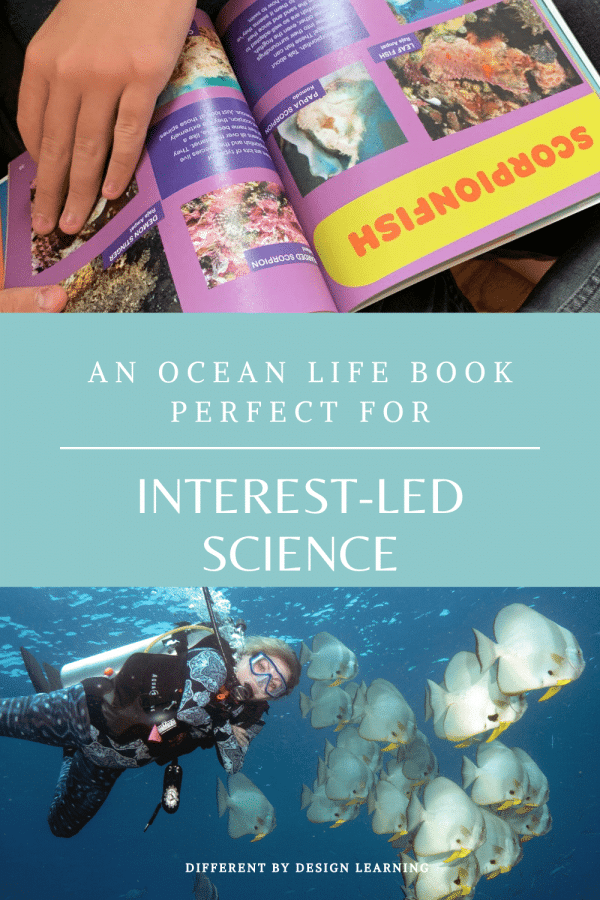 An Ocean Life Book Perfect For Interest-Led Science - Different By ...
