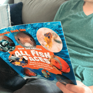 An Ocean Life Book Perfect For Interest-Led Science - Different By ...